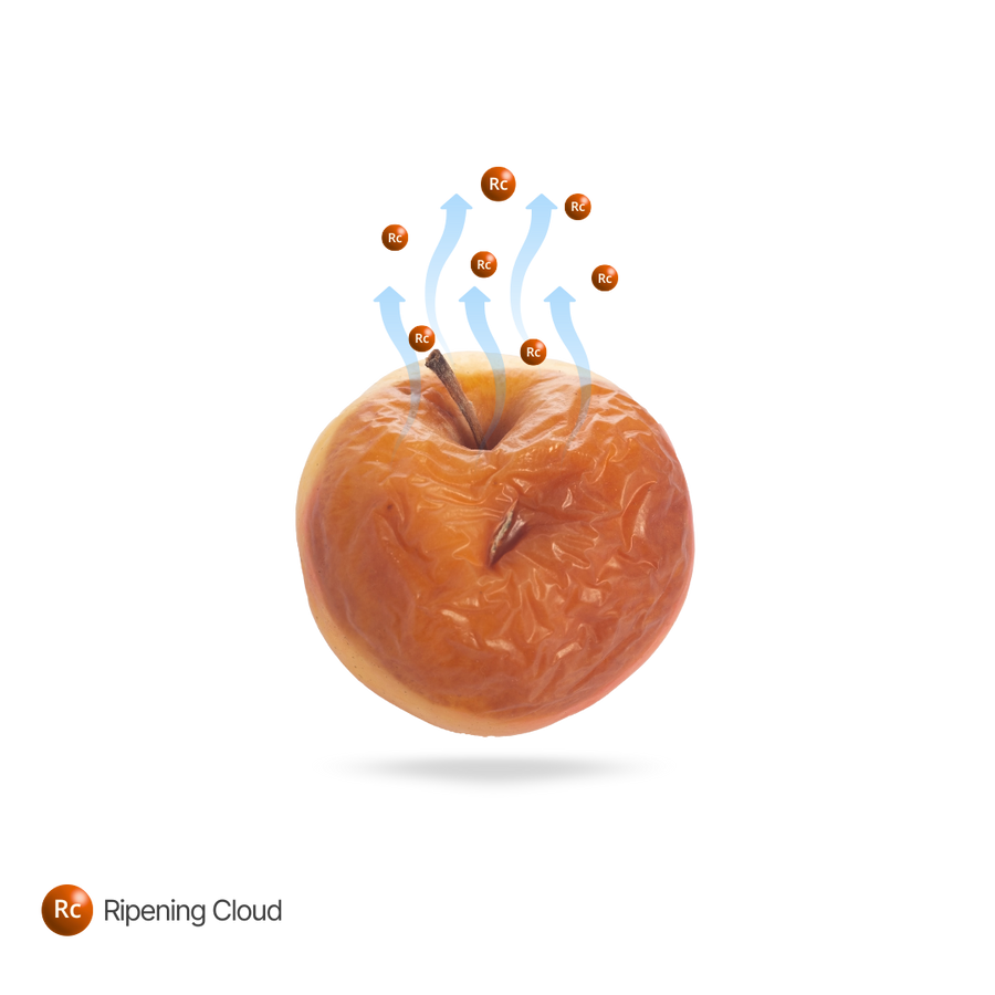 Fruit Hero Australia