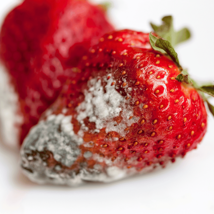 How It Works – Fruit Hero